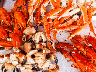 About Us | David's Fish Market